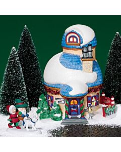 DEPARTMENT 56 6003132 Aunt Bethany's House